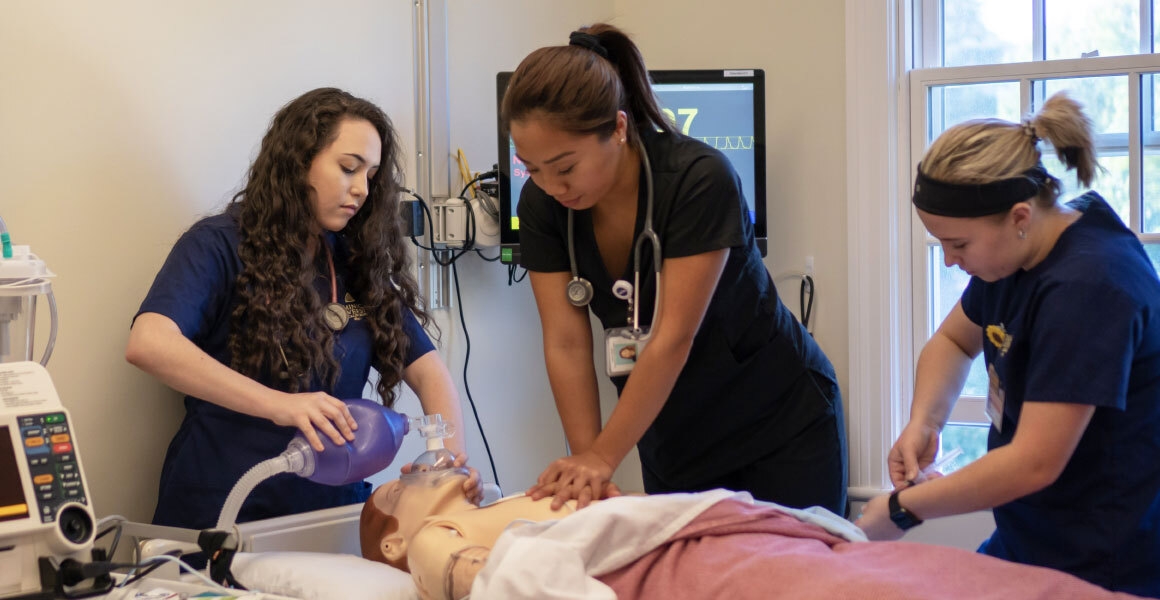 HMG University - Healthcare Scholarship Program